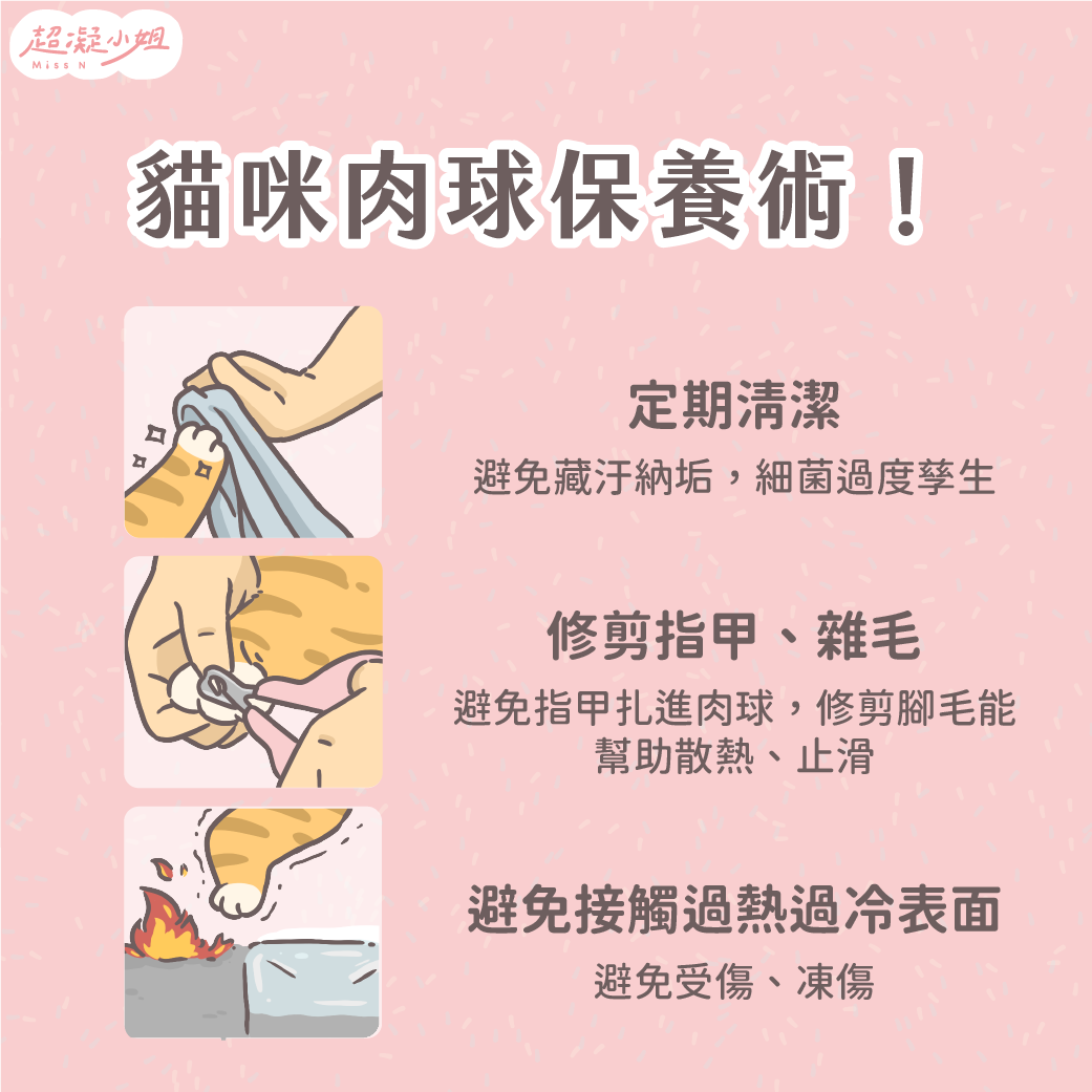 貓咪肉球百科！貓肉球顏色、味道、保養大公開 - Lady N