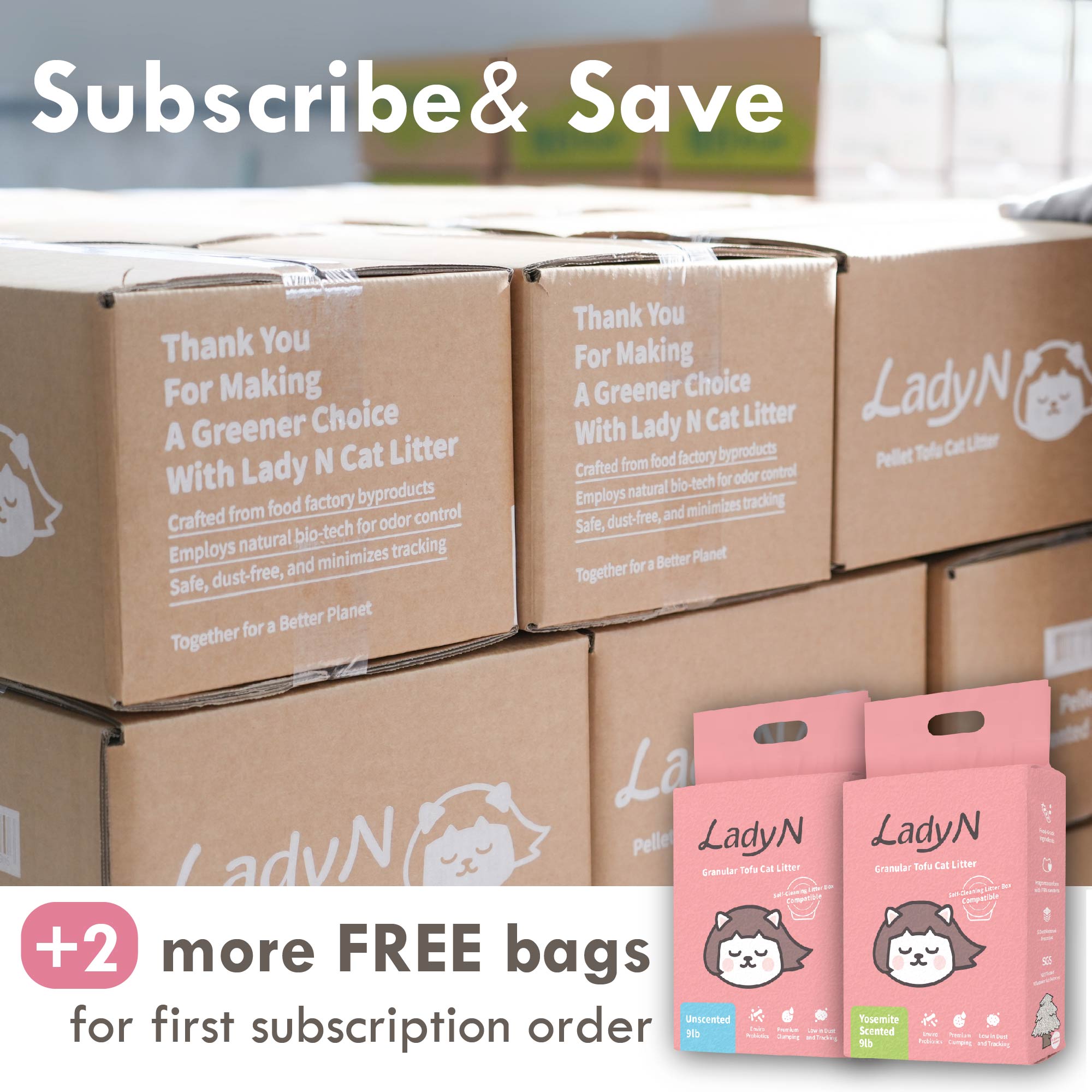 Shop | Lady N | Sustainable Tofu Cat Litter from TAIWAN