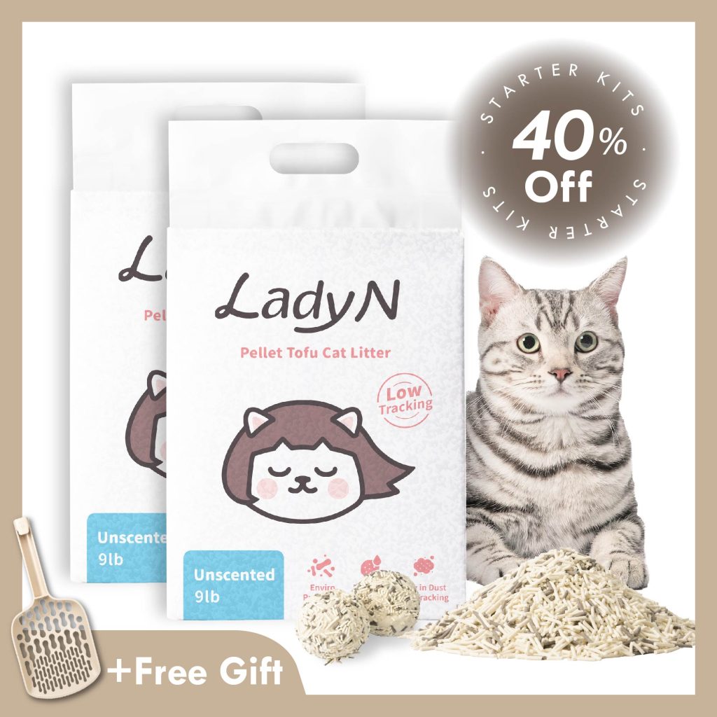 Cat Eyes Meaning: Decoding Pupil Shape, Size & Mood - Lady N US